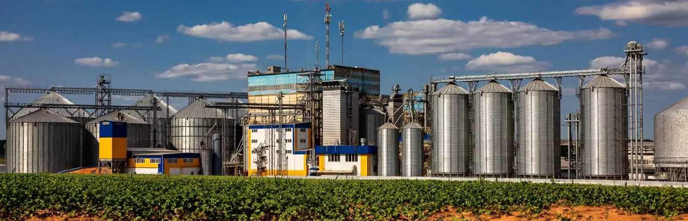 Agro Industry Innovations: Sustainable Farming Solutions – Rajdeep ...